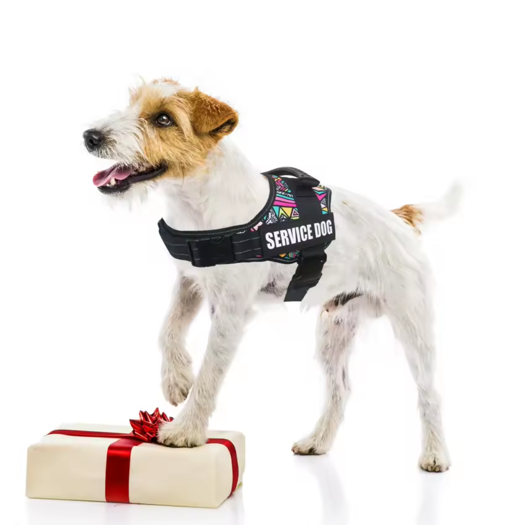 Service Dog Harness | Dog Harness with Service Dog Patch – Urban Tail Co.